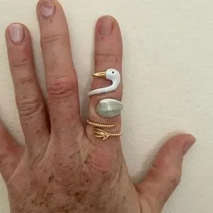 Jewelry | Swan Ring Threepiece Adjustable | Poshmark